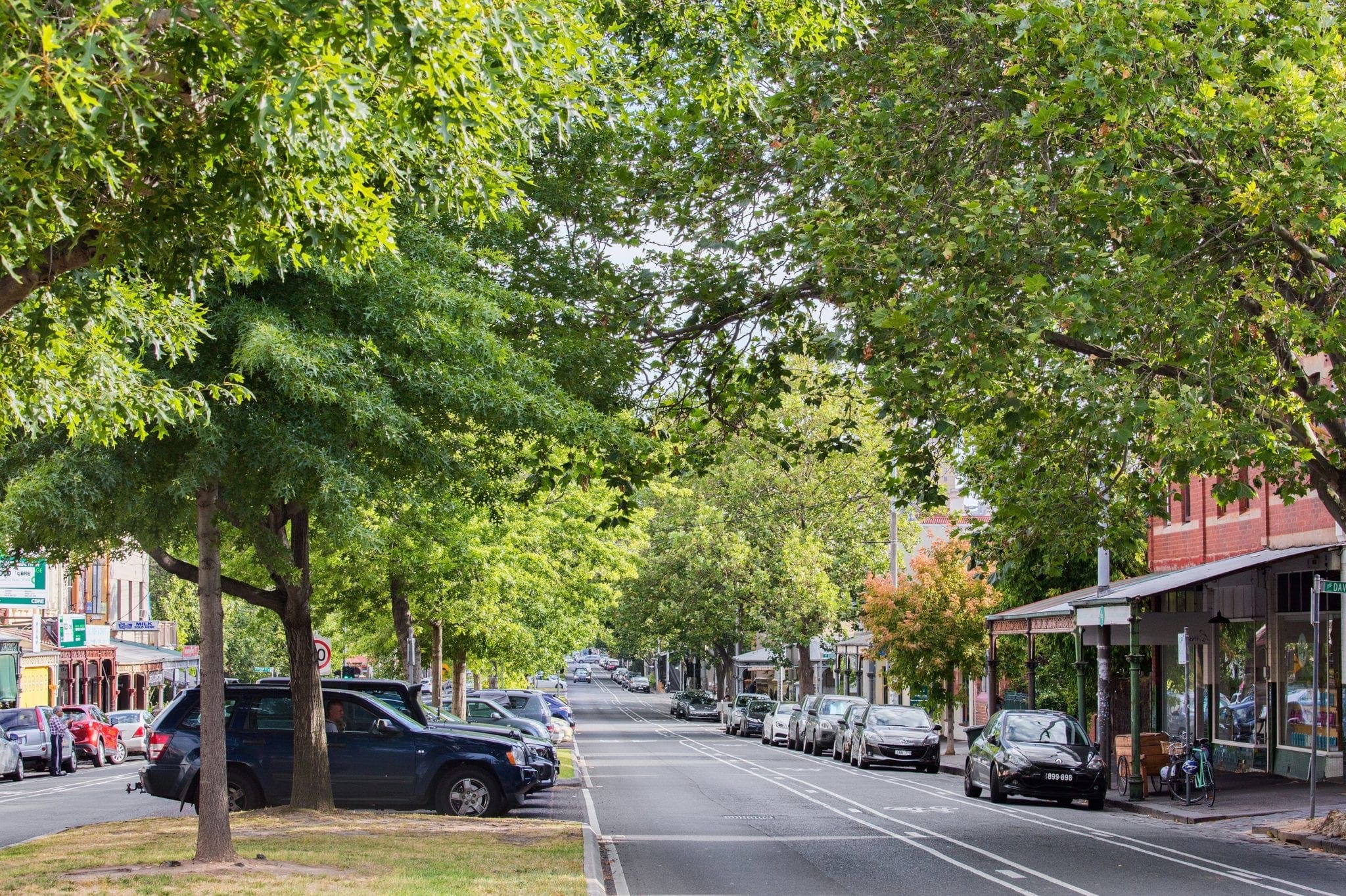 Planning For Trees as a Vital Infrastructure Element - WGI