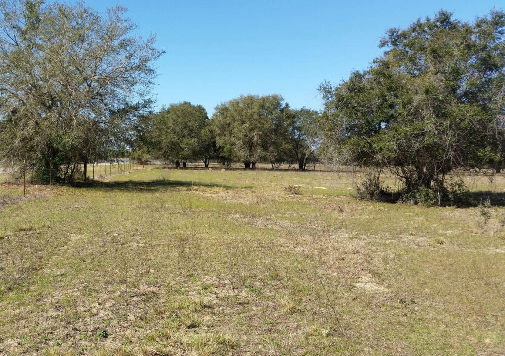 Schofield Road R/W Dedication Parcels - Contamination Assessment - WGI